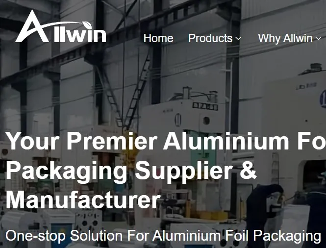 Ultimate Aluminium Foil Container Guide - Allwin